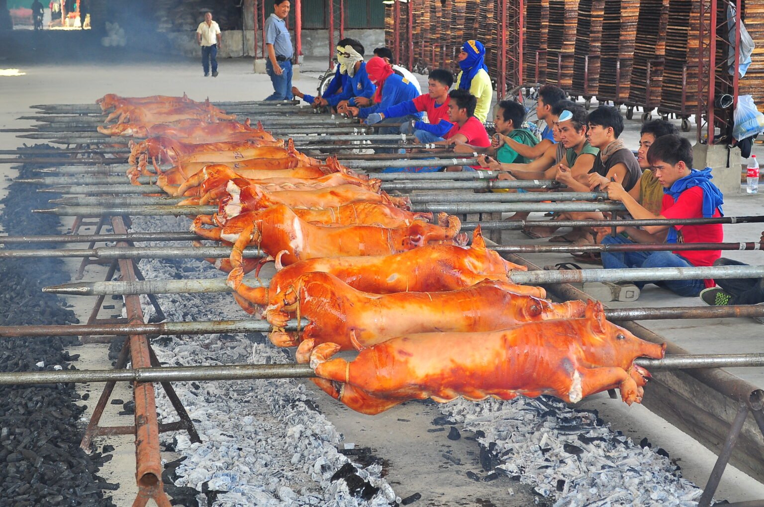 Best Cebu Food You Have to Try Before You Leave (2026)